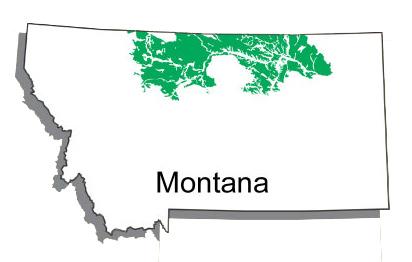 Image for Scobey Soil Series | State Symbols USA